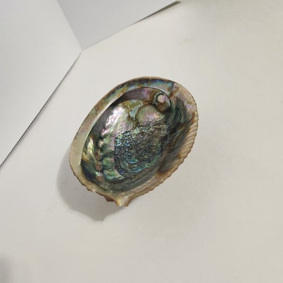 Accents | Vintage Mcm Abalone Mop Shell Footed Bowl Dish Ashtray Candy ...